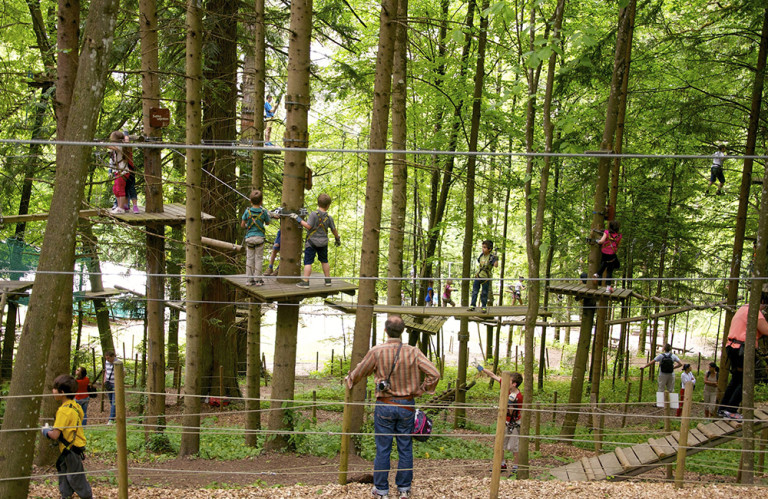 Parc Aventure d'Aigle | Le plein d'aventures dans une forêt enchantée!